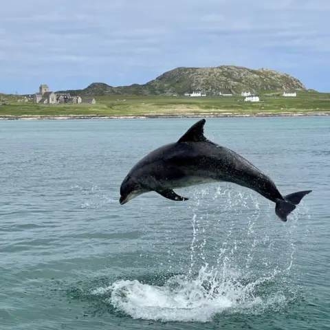 Your pictures of Scotland: 26 May - 2 June