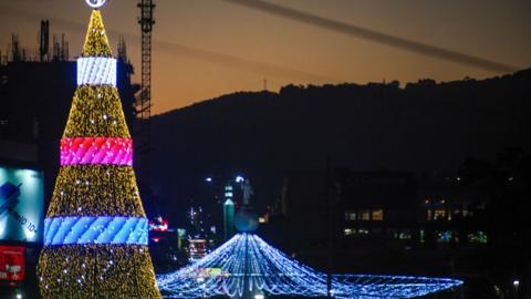 Christmas trees from around the world - BBC Newsround