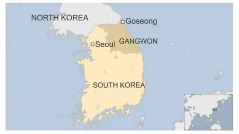 South Korea wildfires: Deadly blaze declared a national emergency