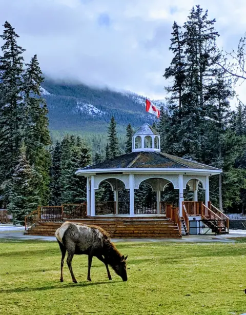 Your pictures on the theme of 'green spaces'