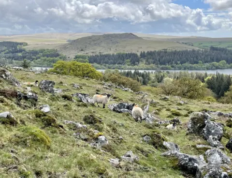 England's Big Picture: 7 June - 13 June