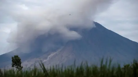 Indonesia volcano: Toll rises after Mount Semeru buries villages