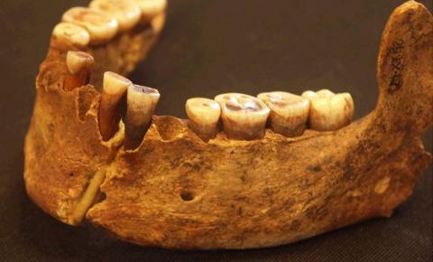 DNA secrets of Ice Age Europe unlocked - BBC News