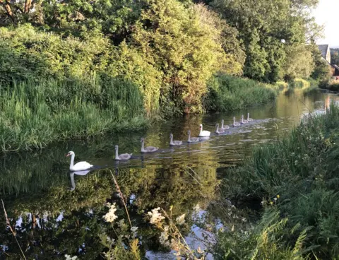 Your pictures of Scotland: 2 - 9 August