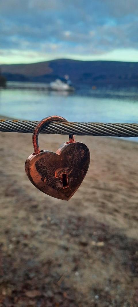 Your pictures of Scotland: 24 - 31 December - BBC News