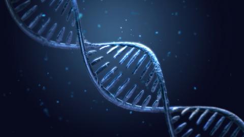 Gene editing is GM, says European Court - BBC News