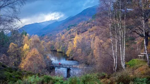 Your pictures of Scotland: 11 - 18 November