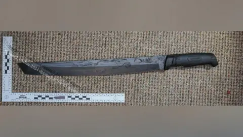 Girl 17 In Jersey Sentenced For Machete Attack