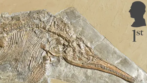 Mary Anning: Stamps celebrating pioneering fossil hunter revealed