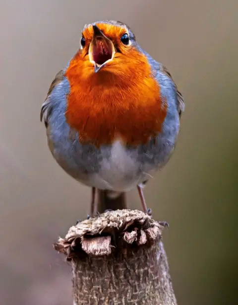 Your pictures of Scotland: 11 - 18 March