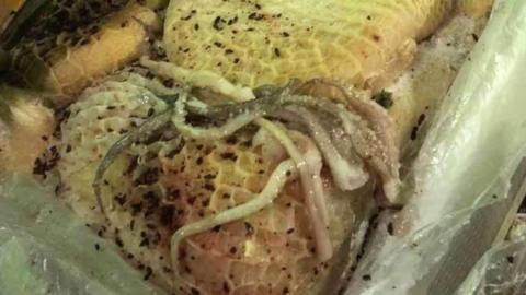 Anger over 'disgusting' food found in Chinese school kitchen - BBC News