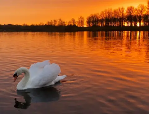 England's Big Picture: 20 November - 26 November 2023