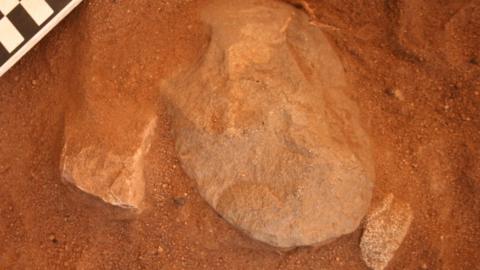 Australia human history 'rewritten by rock find' - BBC News