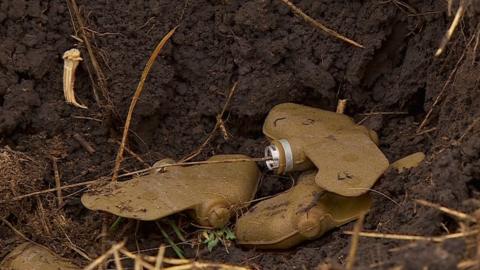 Ukraine war: The deadly landmines killing hundreds - BBC News