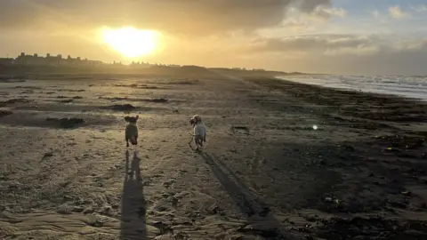 Your pictures of Scotland: 17-24 February