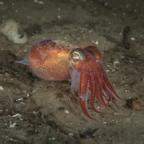 Your pictures of Scotland: 14 - 21 October