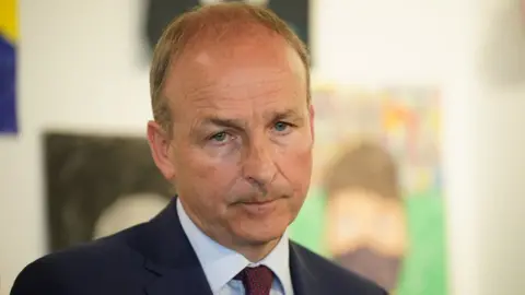 Ireland's government wins confidence vote