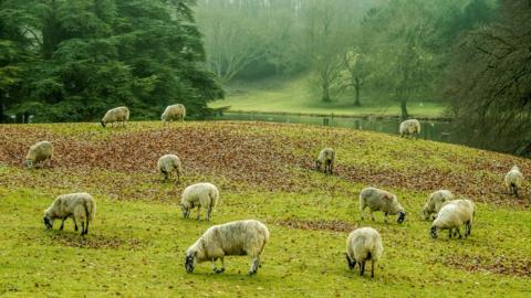 Oxfordshire's Big Picture - BBC News