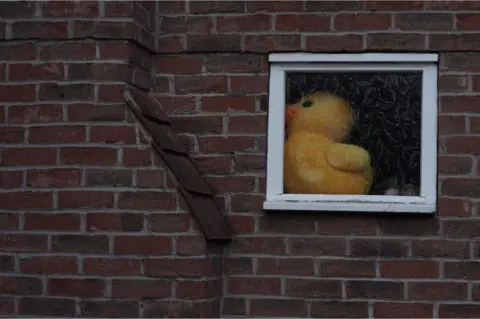 Your pictures on the theme of 'framed'