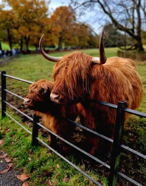 Your pictures of Scotland: 3 November - 10 November