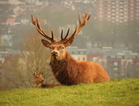 England's Big Picture: 4 - 10 January