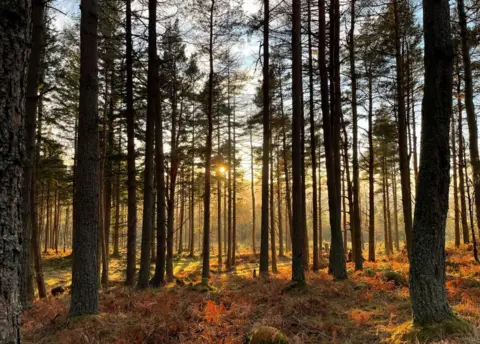 Your pictures of Scotland: 10-17 February