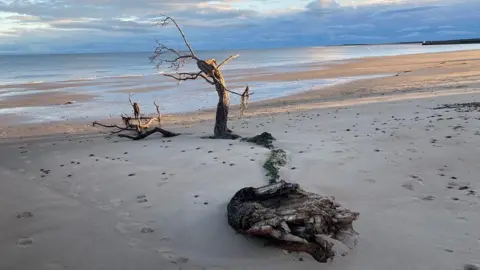 Your pictures of Scotland: 22 - 29 October