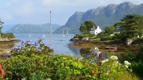 The people working to help Scotland's bats bounce back