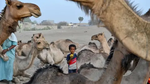 Africa's week in pictures: 10-16 May 2024