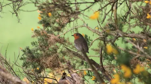 Your pictures of Scotland: 6 - 13 August