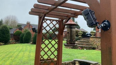 Two-legged fox: Wildlife fan awaits nimble creature's return - BBC News