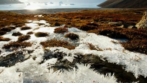 Climate change: Arctic ice melt makes permafrost vulnerable - BBC News