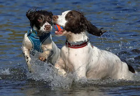 Your pictures of Scotland: 27 August - 3 September