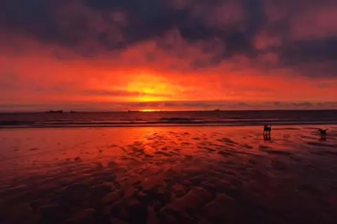 Your pictures of Scotland 2 - 9 July