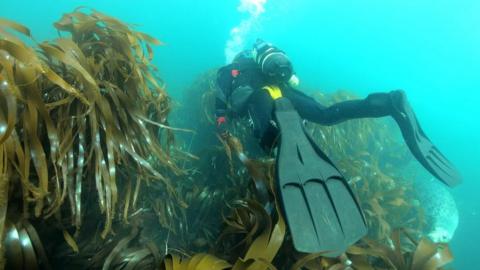 HMS Montagu: Battleship wreck given protected status - BBC News