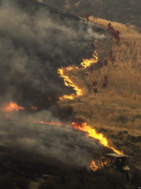 Wildfires: Why they start and how they can be stopped - BBC News