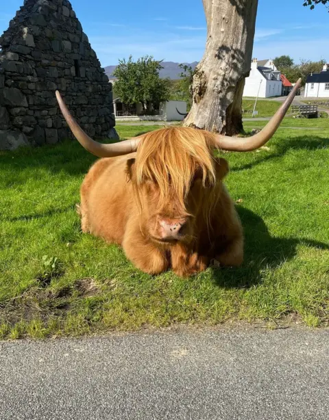 Your pictures of Scotland 7 - 14 August