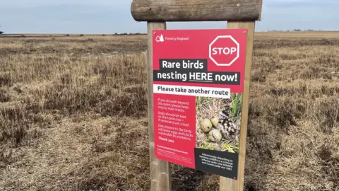 Pleas to save New Forest ground-nesting birds