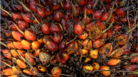 Climate change: Growing doubts over chip fat biofuel - BBC News