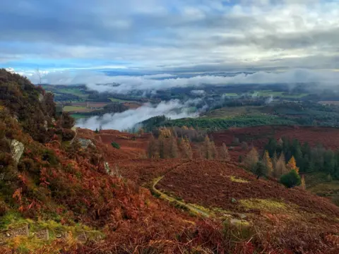 Your pictures of Scotland: 17-24 November