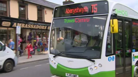 Six-month lifeline for mid to south T1C bus service