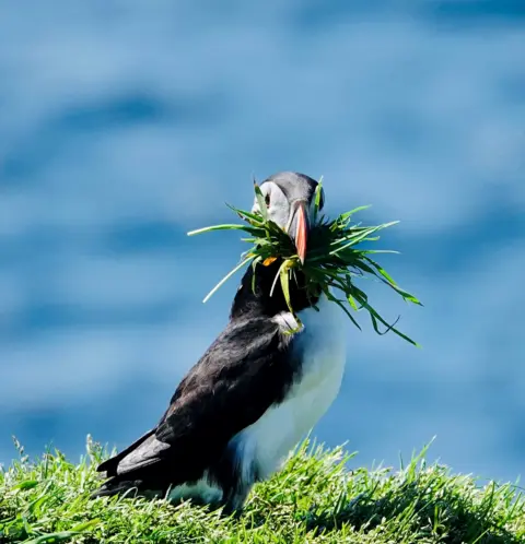 Your pictures of Scotland: 20 - 27 May