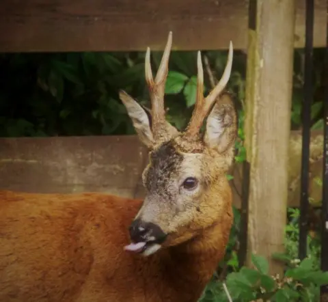 Your pictures of Scotland: 7 July to 14 July