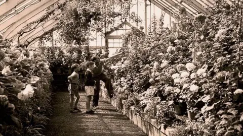 Springburn Winter Gardens: What next for the glasshouse in ruins for 40 ...