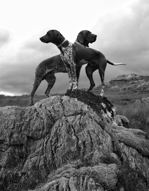 Your pictures of Scotland: 8-15 July - BBC News