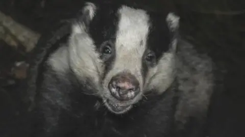 Teen arrested for murder after 17-year-old stabbed in Marston Green