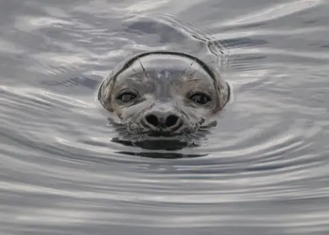 Your pictures of Scotland: 16-23 September