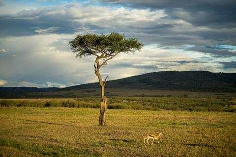 Your pictures on the theme of 'open spaces' - BBC News