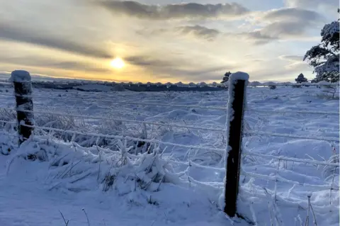 Your pictures of Scotland 21 - 28 February
