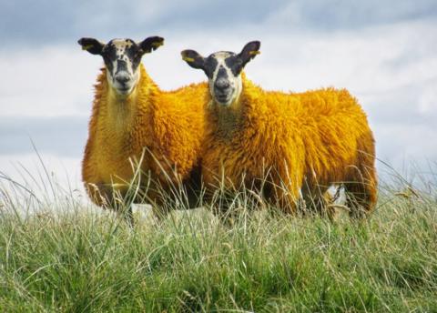 Your pictures of Scotland: 16-23 September - BBC News